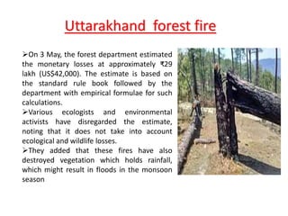 Natural Disaster | PPT