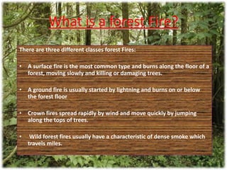 Natural Disaster | PPT