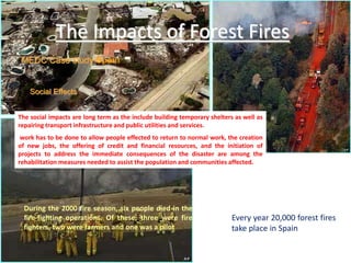 Natural Disaster | PPT
