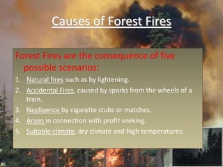 Natural Disaster | PPT