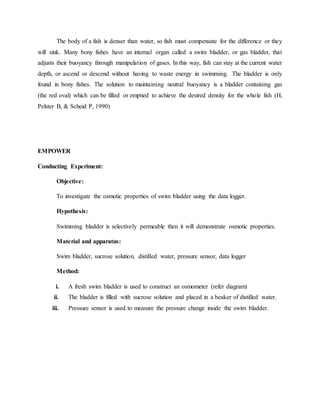 Report Data Logger Full | PDF