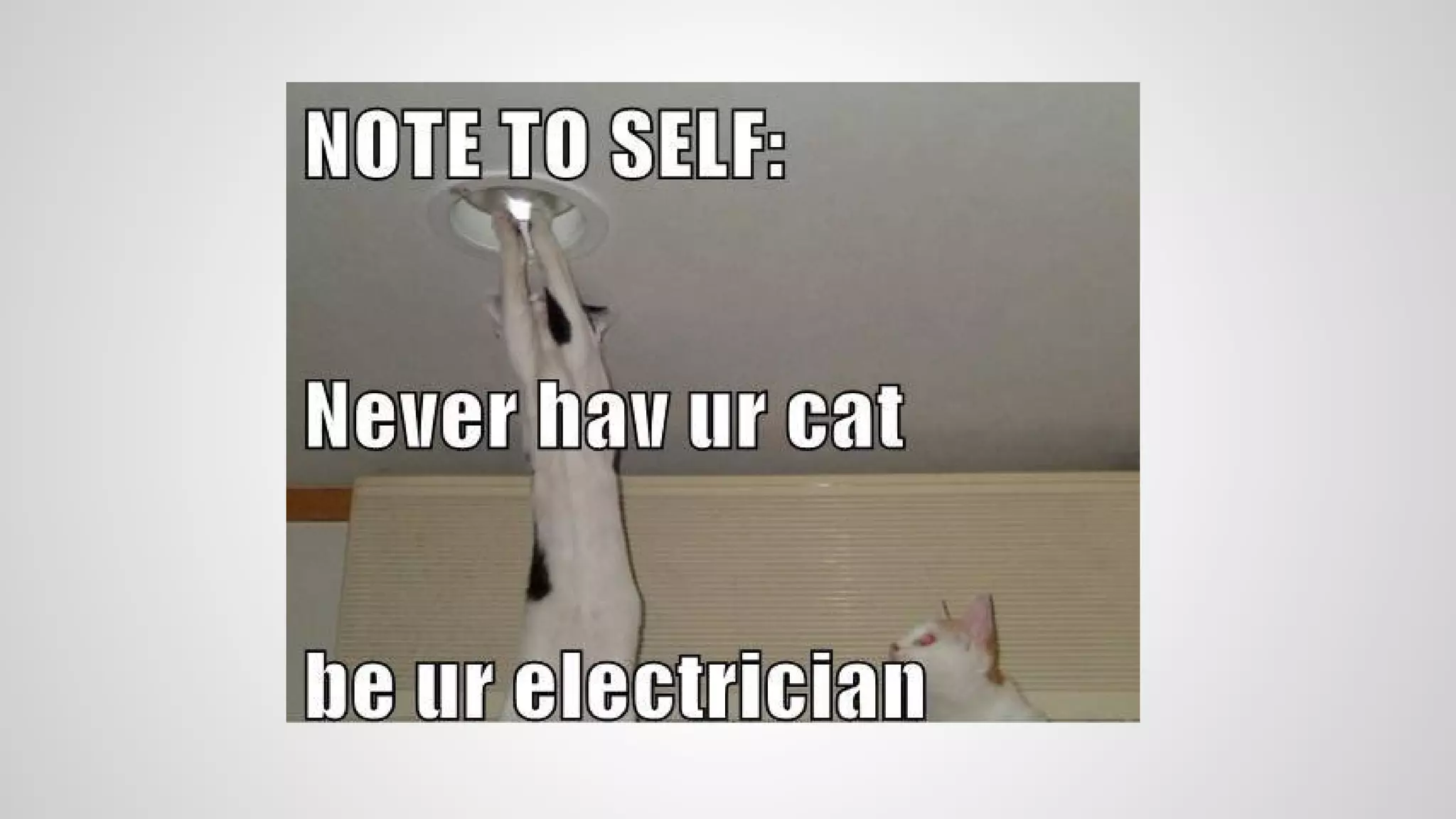 18 Extremely Funny Electrician Fails | PDF