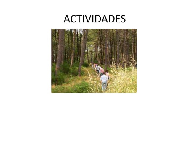 Cuéntame tus vacaciones - flashcards | PPT