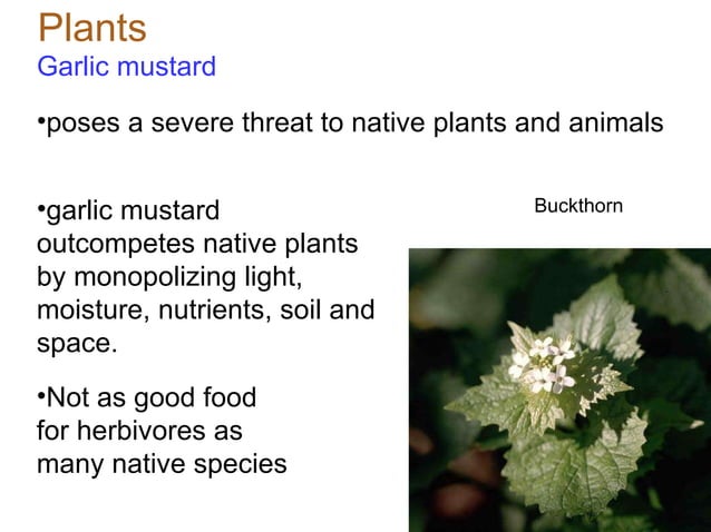18 invasive spp | PPT