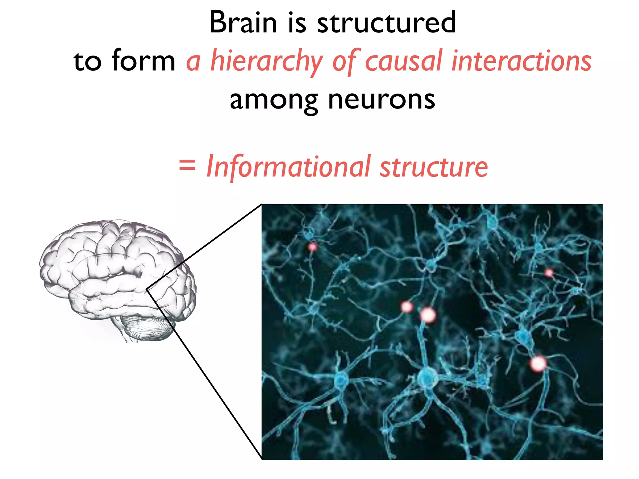 Tsuchiya 18 june 26 assc, 20 HBP, integrated information theory tutorial 1 handout | PDF