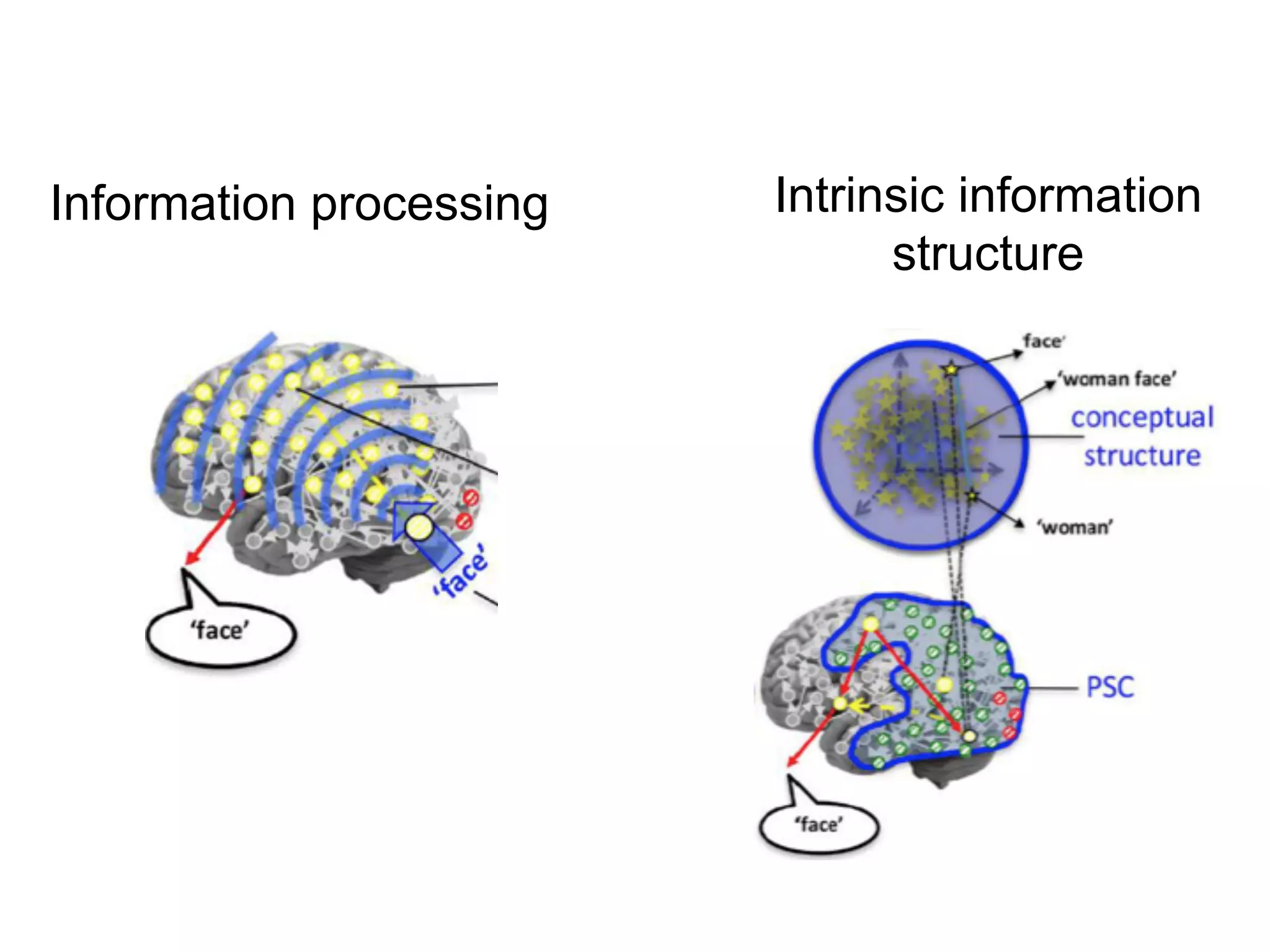 Tsuchiya 18 june 26 assc integrated information theory tutorial 3 ...