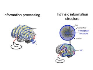 Tsuchiya 18 june 26 assc integrated information theory tutorial 3 ...