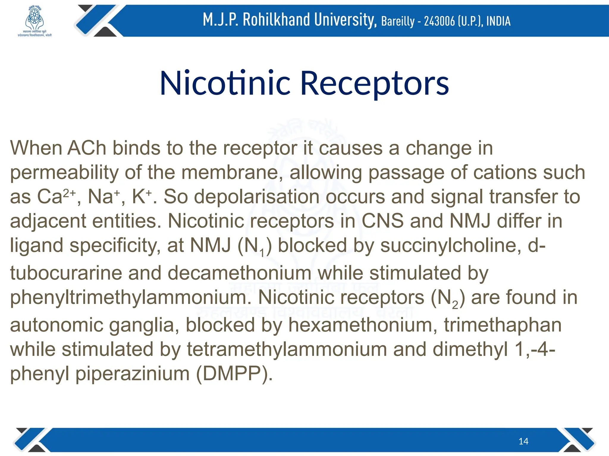 Cholinergic Transmission & Receptors.... | PPTX