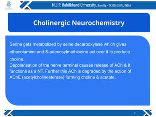 Cholinergic Transmission & Receptors.... | PPTX