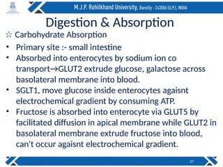 GIT Physiology: A Detailed Concept ..... | PPTX