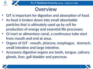 GIT Physiology: A Detailed Concept ..... | PPTX