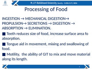 GIT Physiology: A Detailed Concept ..... | PPTX