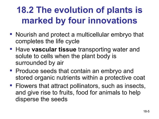 18 Lecture Ppt | PPT