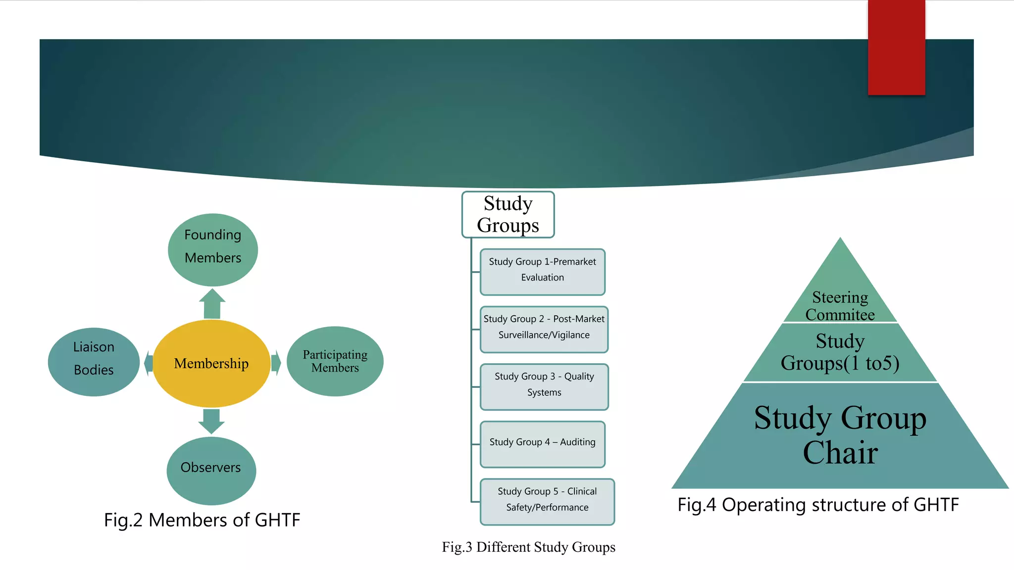 GHTF study group 3 | PPTX