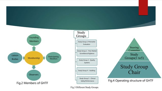 GHTF study group 3 | PPTX