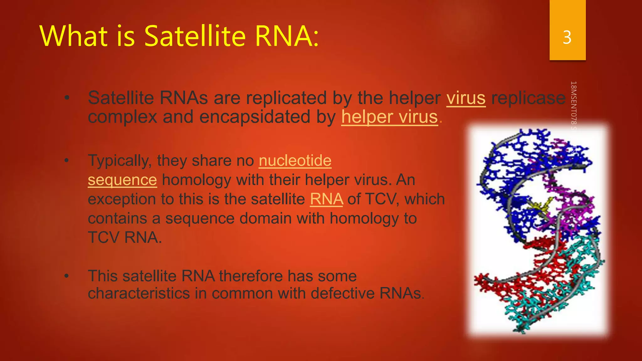 Satellite RNA | PPTX
