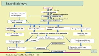 Crimean Congo Hemorrhagic fever | PPT