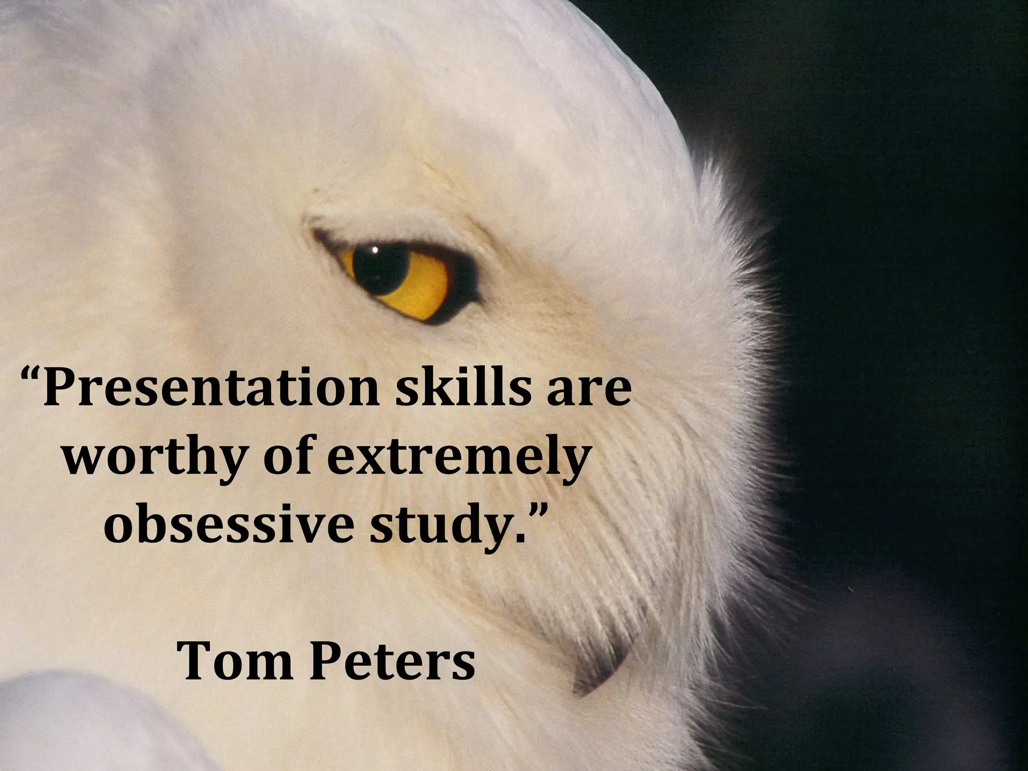 18 powerful quotes on presenting | PDF