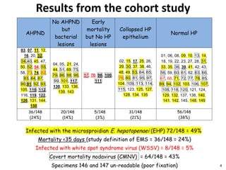 Presentation 18: Problems other than AHPND in EMS ponds, including the ...