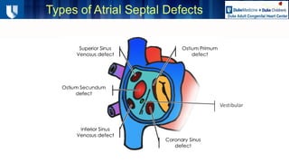 Evidence-based Management of Atrial Septal Defects and Patent Foramen ...