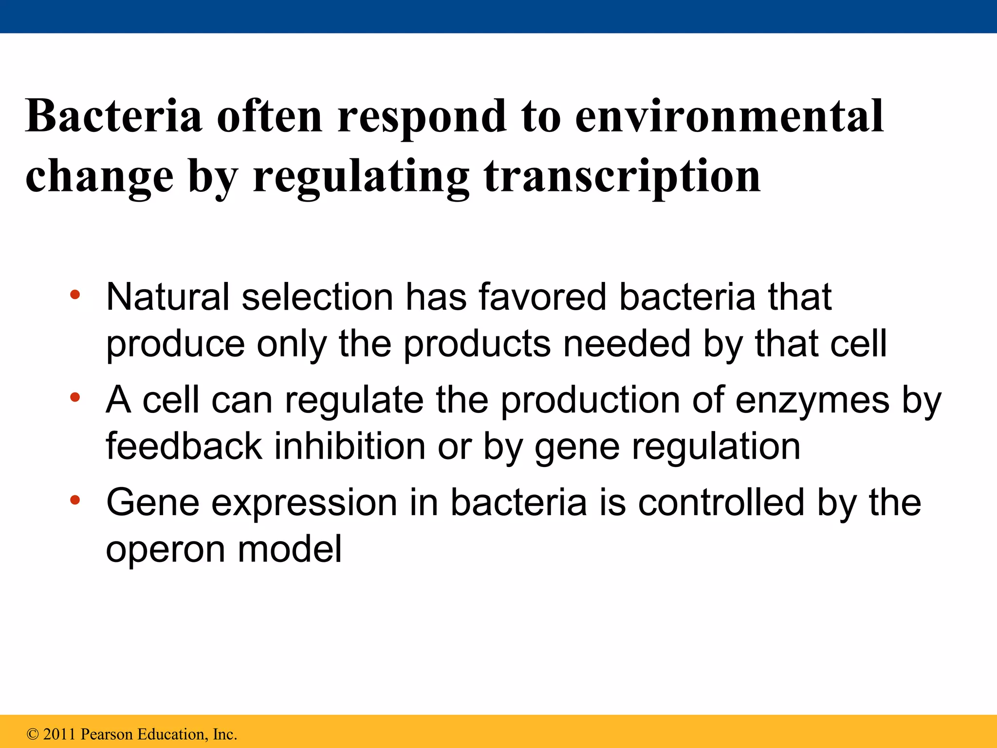 18 Regulation of Gene Expression | PPT