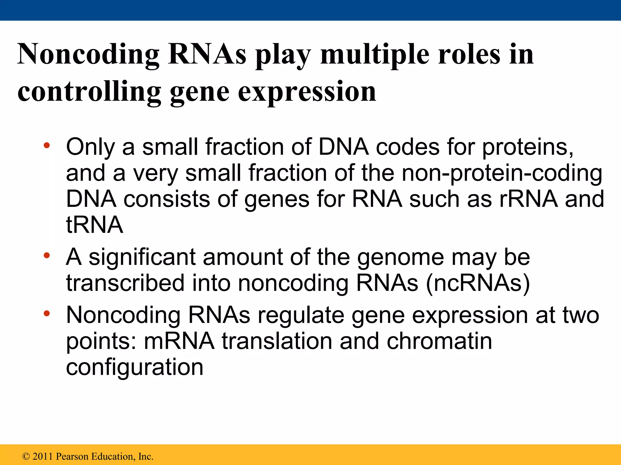 18 Regulation of Gene Expression | PPT
