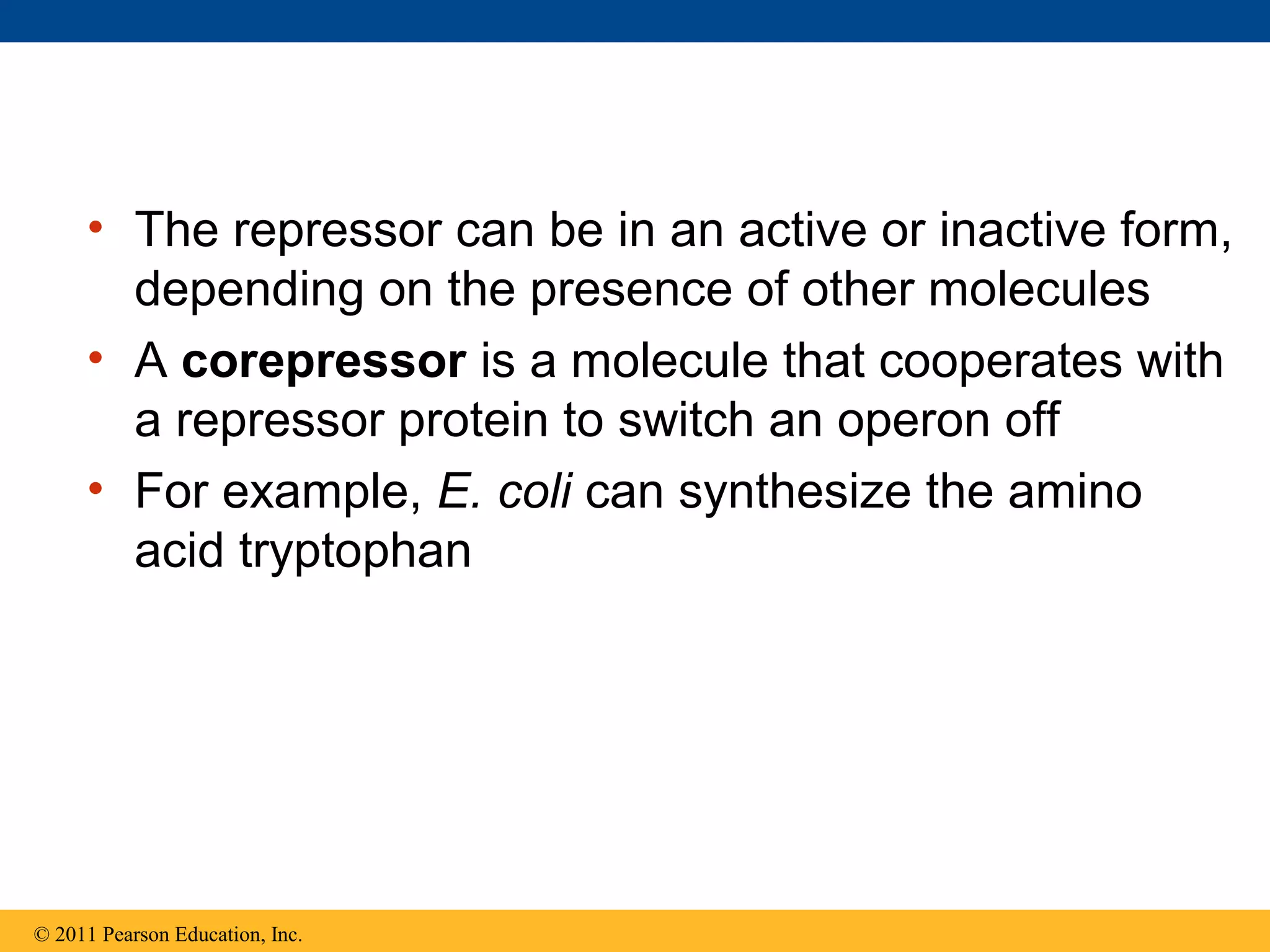 18 Regulation of Gene Expression | PPT