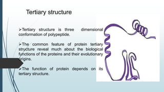 Structure of Protein | PPTX