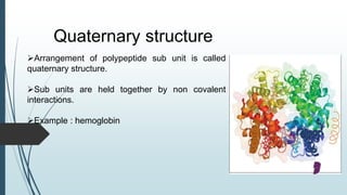 Structure of Protein | PPTX