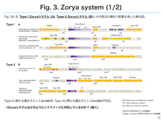 [論文紹介] 微生物パンゲノムにおける抗ファージ防御システムの系統的発見 (Systematic discovery of antiphage ...