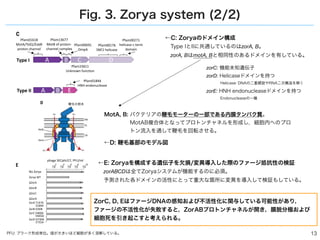 [論文紹介] 微生物パンゲノムにおける抗ファージ防御システムの系統的発見 (Systematic discovery of antiphage ...