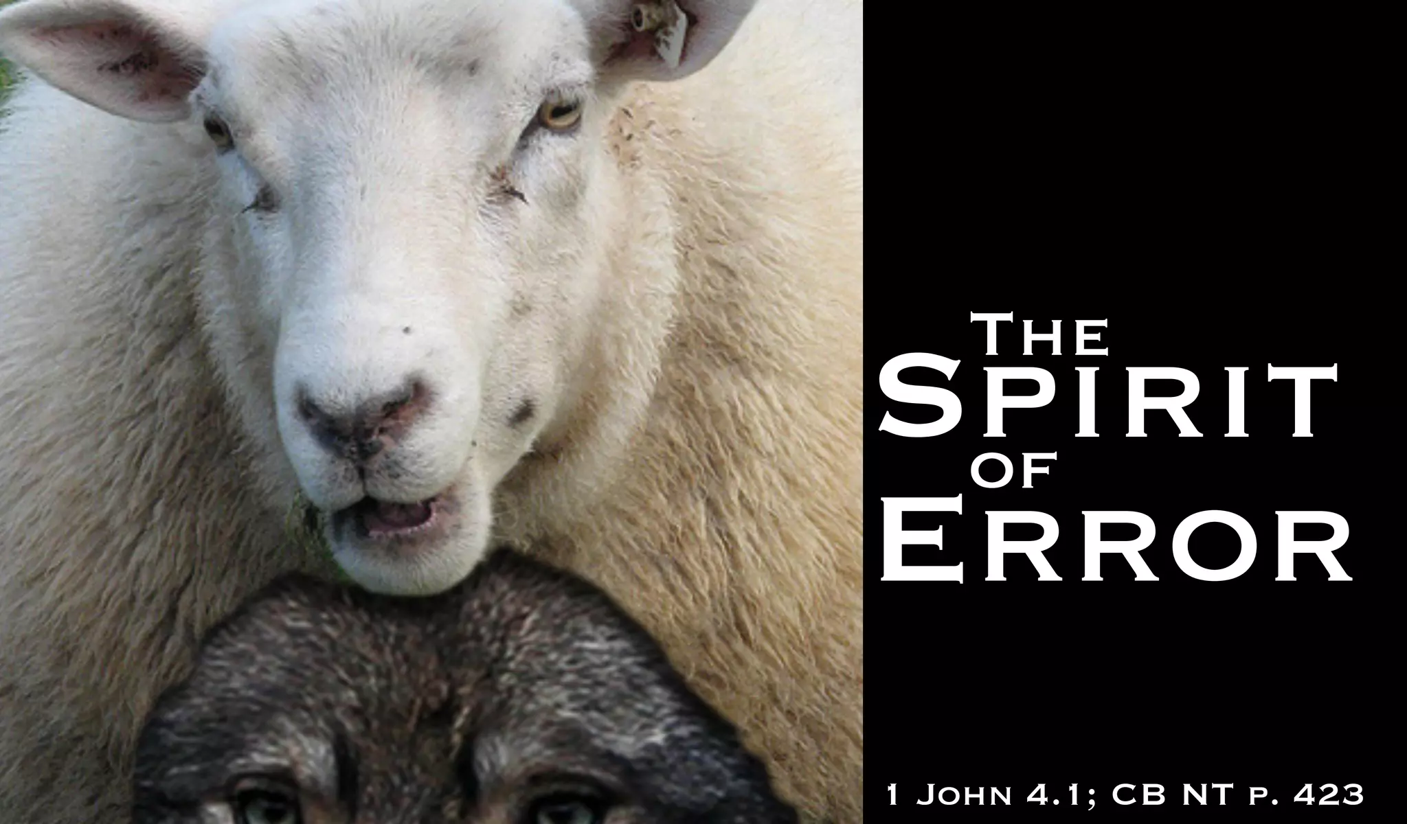 The Spirit of Error | PDF