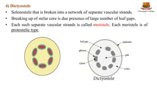 Stelar evolution and alternation of generation | PPTX