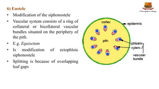 Stelar evolution and alternation of generation | PPTX