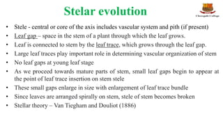 Stelar evolution and alternation of generation | PPTX
