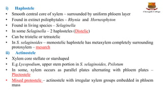 Stelar evolution and alternation of generation | PPTX