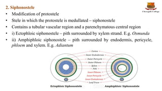 Stelar evolution and alternation of generation | PPTX