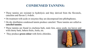 Tannins- occurrence, distribution, isolation, identification test | PPTX