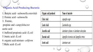 18th-PPT-of-Foods-and-Industrial-MicrobiologyCourse-No.-DTM-321.pdf