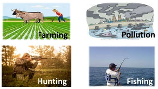 18th june2021 | PPTX