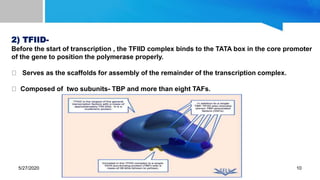 transcription factor by kk sahu | PPT