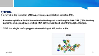 transcription factor by kk sahu | PPT
