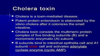 STRUCTURE AND FUNCTION OF CHOLERA TOXINE | PDF