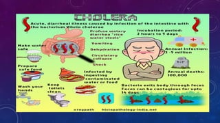 STRUCTURE AND FUNCTION OF CHOLERA TOXINE | PDF