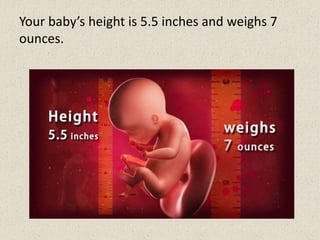 18 Weeks Pregnant: What to Expect | Pregnancy Week By Week | PPTX ...