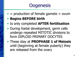 19.01.2 Female Reproduction 2009 | PPT