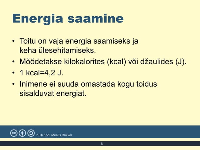 19.energia inimese energiavajadus | PPTX