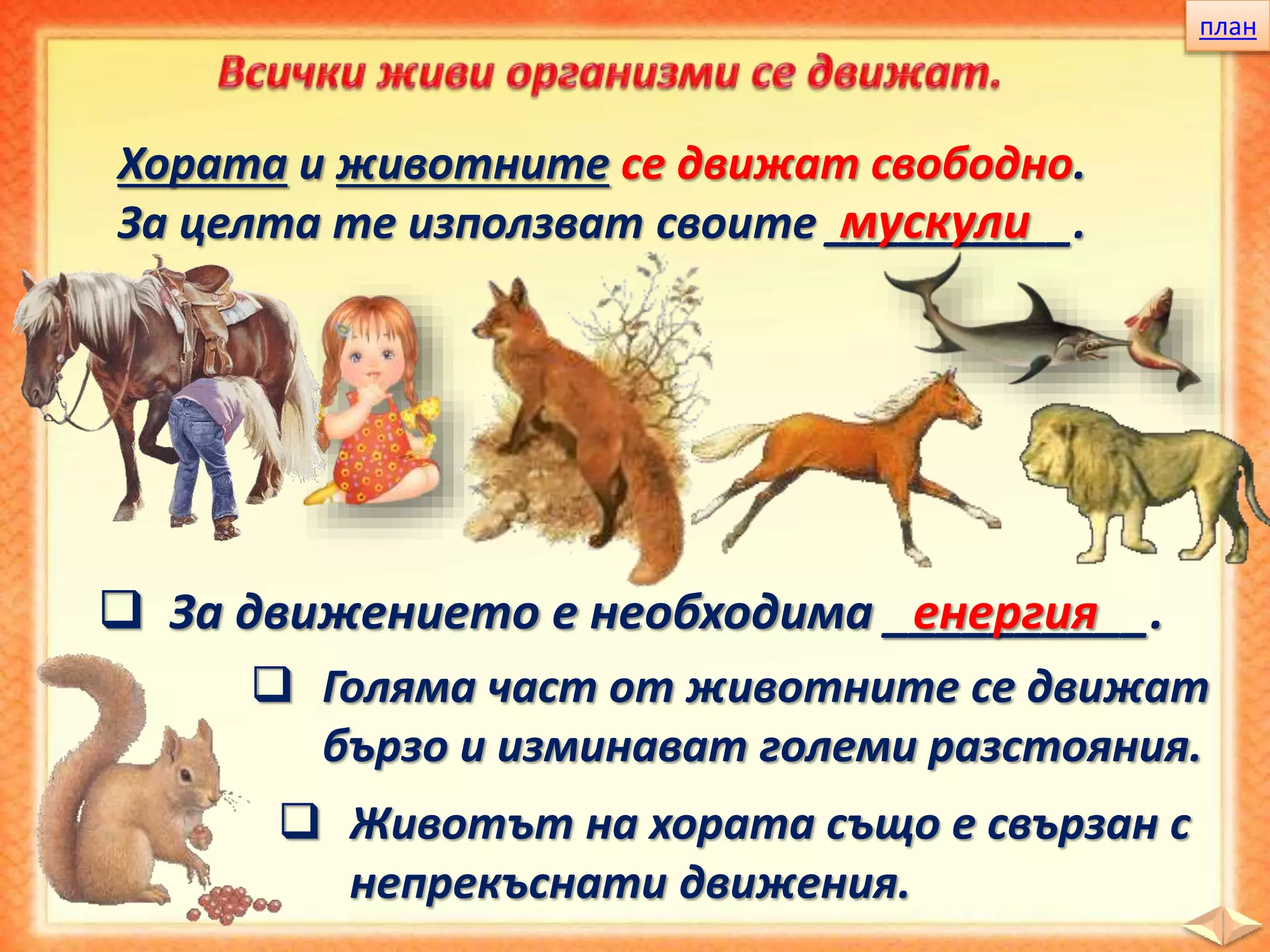 19 Жизнени процеси при растенията и животните Жизнени процеси ЧП 4