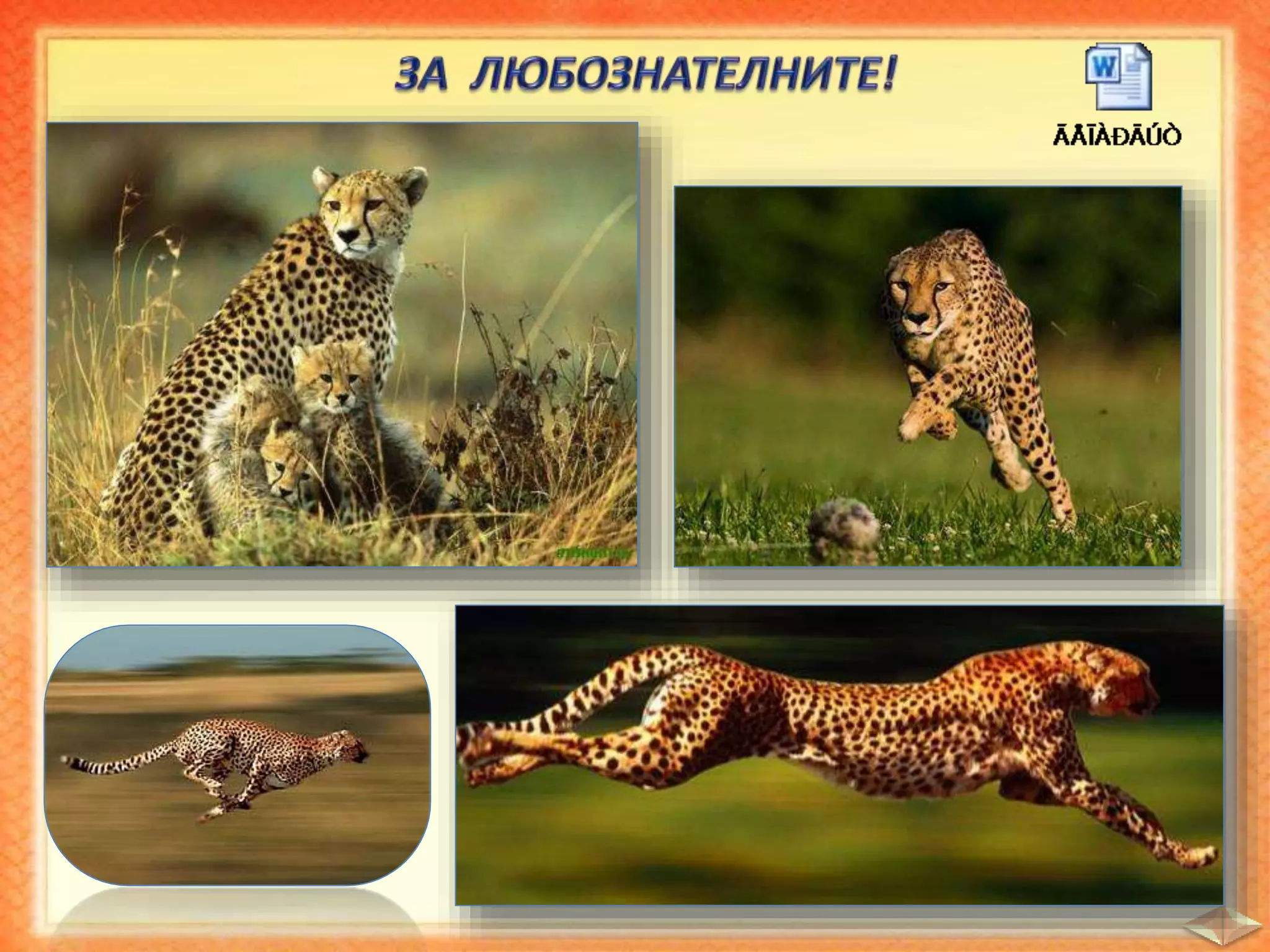 19 Жизнени процеси при растенията и животните Жизнени процеси ЧП 4