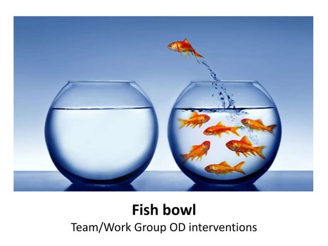 Fish bowl - team work group OD interventions - Organizational Change ...